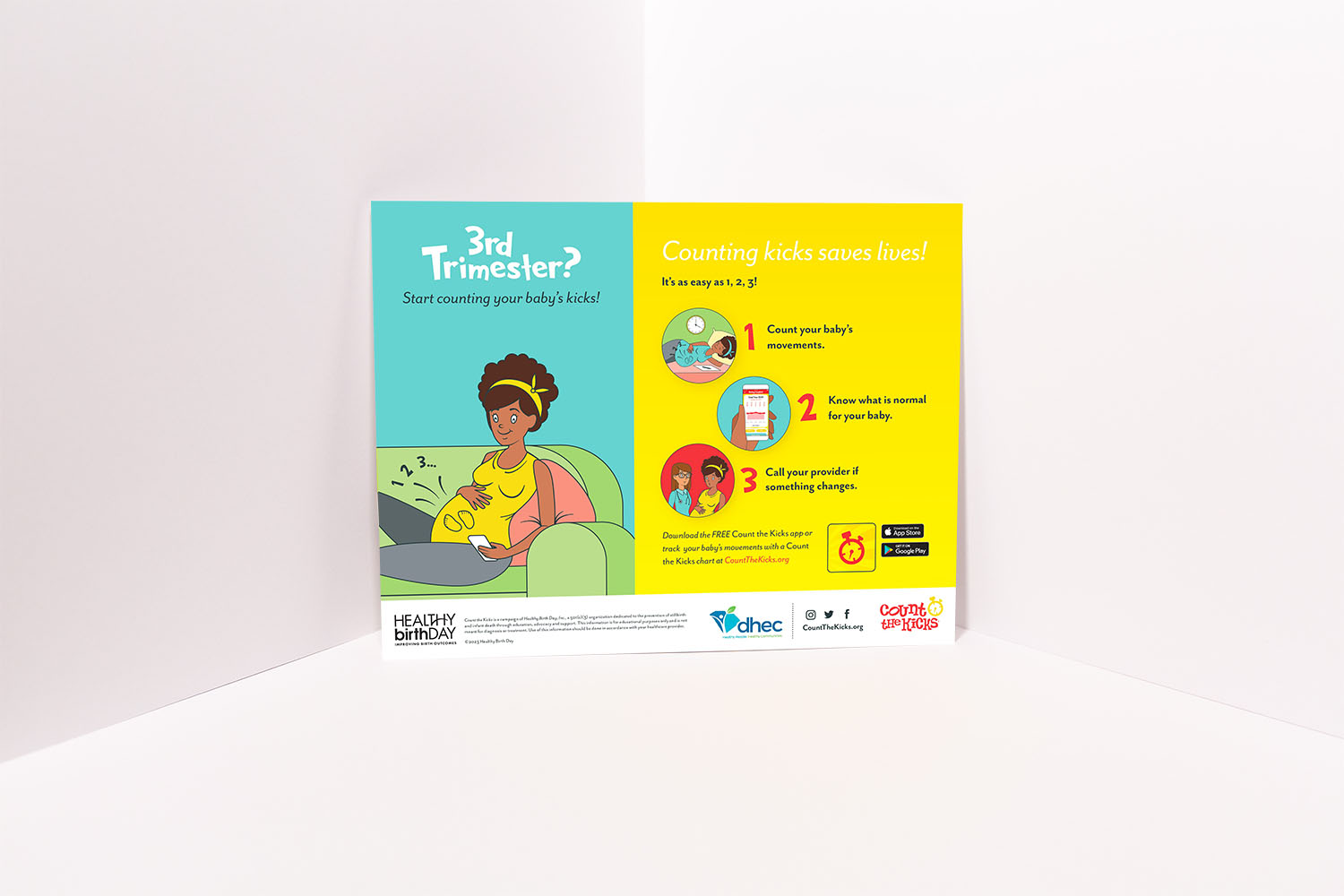 At-a-Glance Poster (English) - SC - Count the Kicks