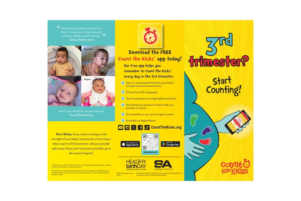 Brochure (English) - TN - Count the Kicks