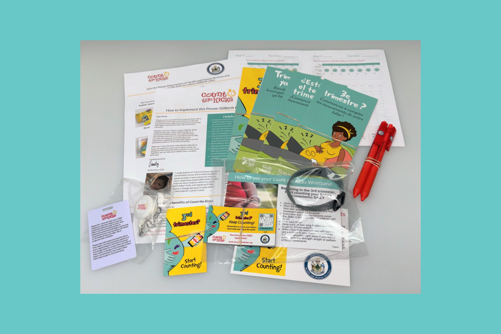 Count the Kicks Toolkit (English) - ME - Count the Kicks