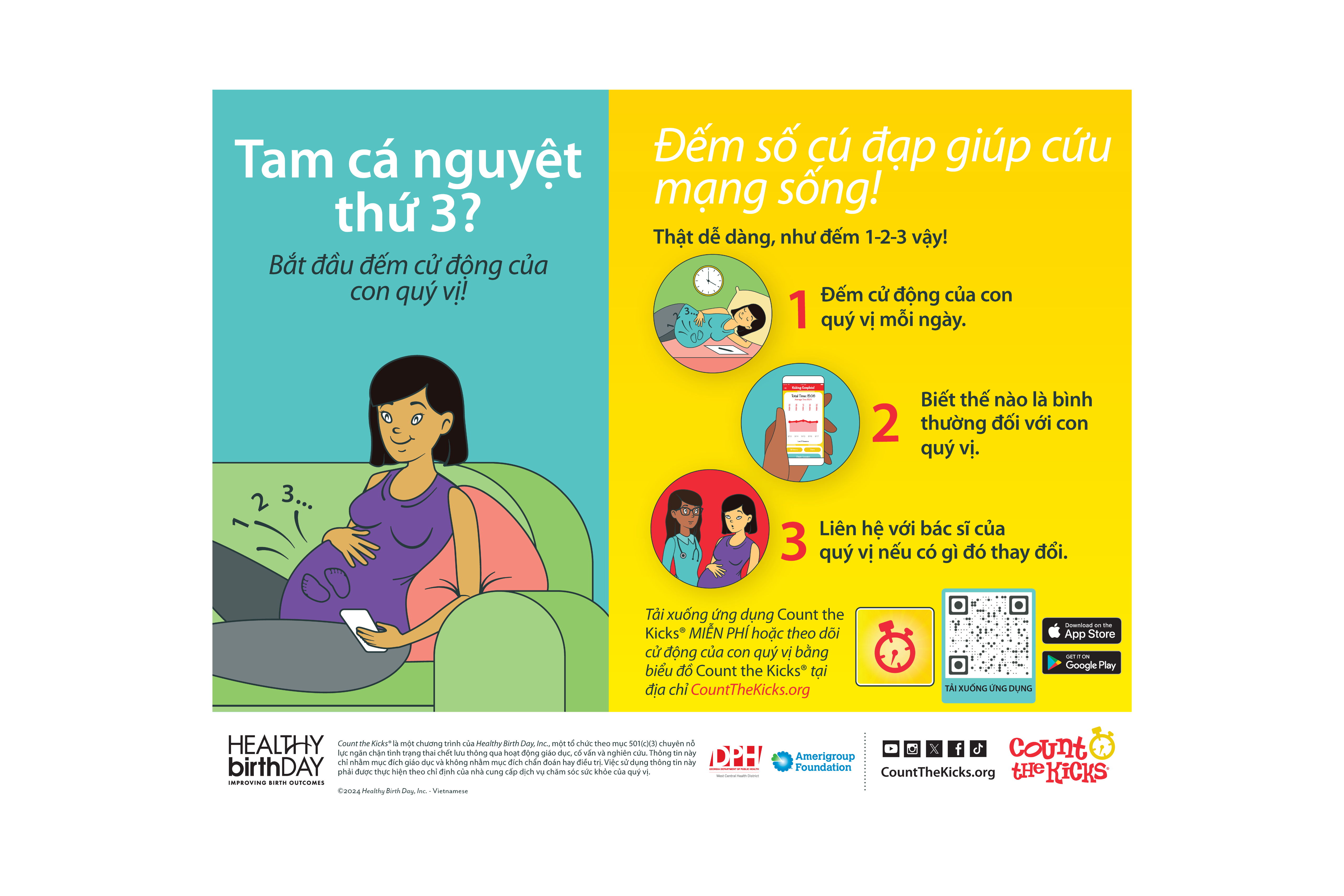 At-a-Glance Poster (Vietnamese) - GA - Count the Kicks